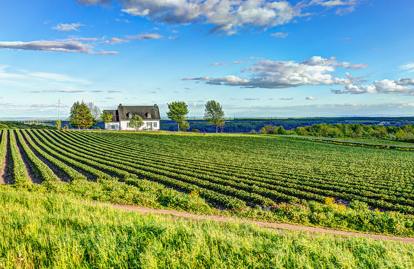 Les plus beaux espaces verts du Québec | Magazine Boomers & Cie